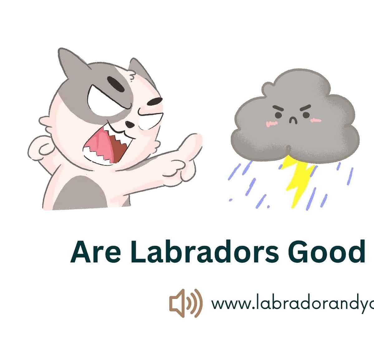 Are Labradors Good With Cats?