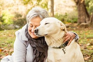 White Labrador Breed Guide: Things You Must Know