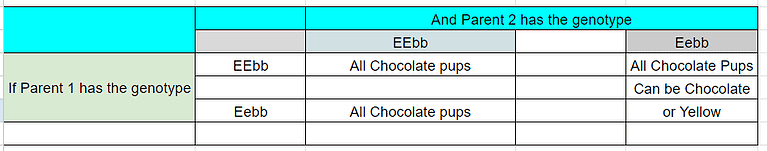 6 Lab Colors Explained With Inheritance Genetics (Complete)