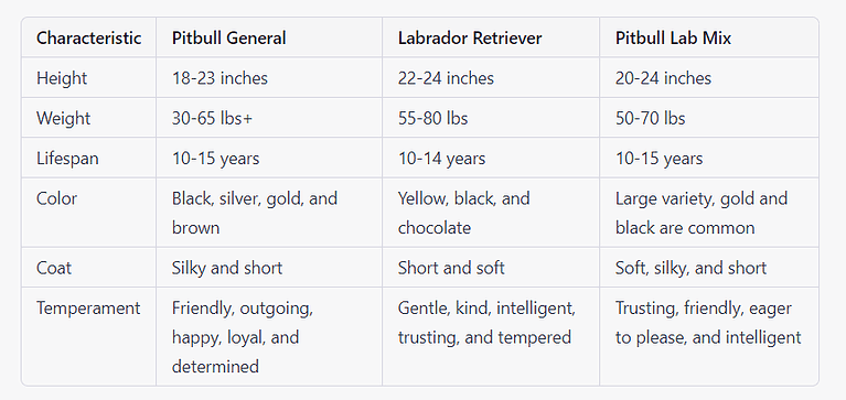Lab Pitbull Mix: Authentic Expert Review Of The Labrabull