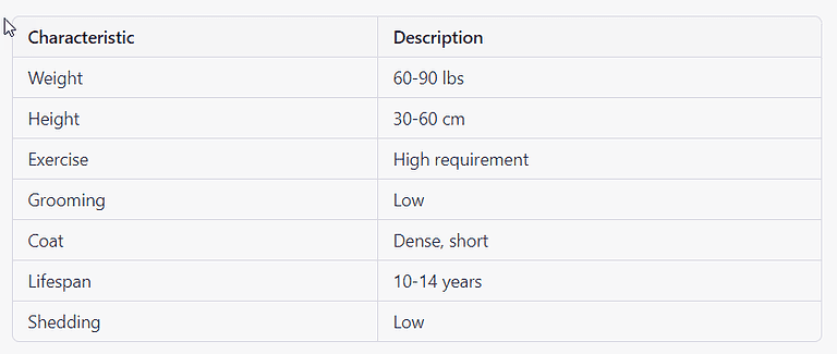 Lab Pitbull Mix: Authentic Expert Review Of The Labrabull