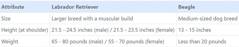 Labrador vs Beagle Breed Differences:- Who Is Better?