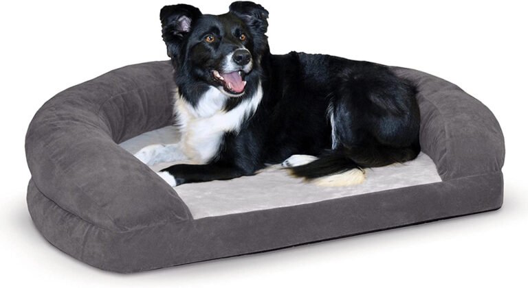 8 Best Lab Dog Bed In 2025