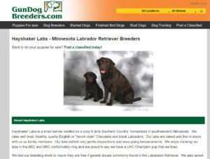 21 Best Lab Breeders In Minnesota In 2023 (Trusted)