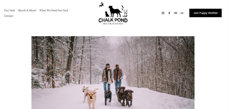 8 Best Lab Breeders In Maine (Vetted & Trusted)